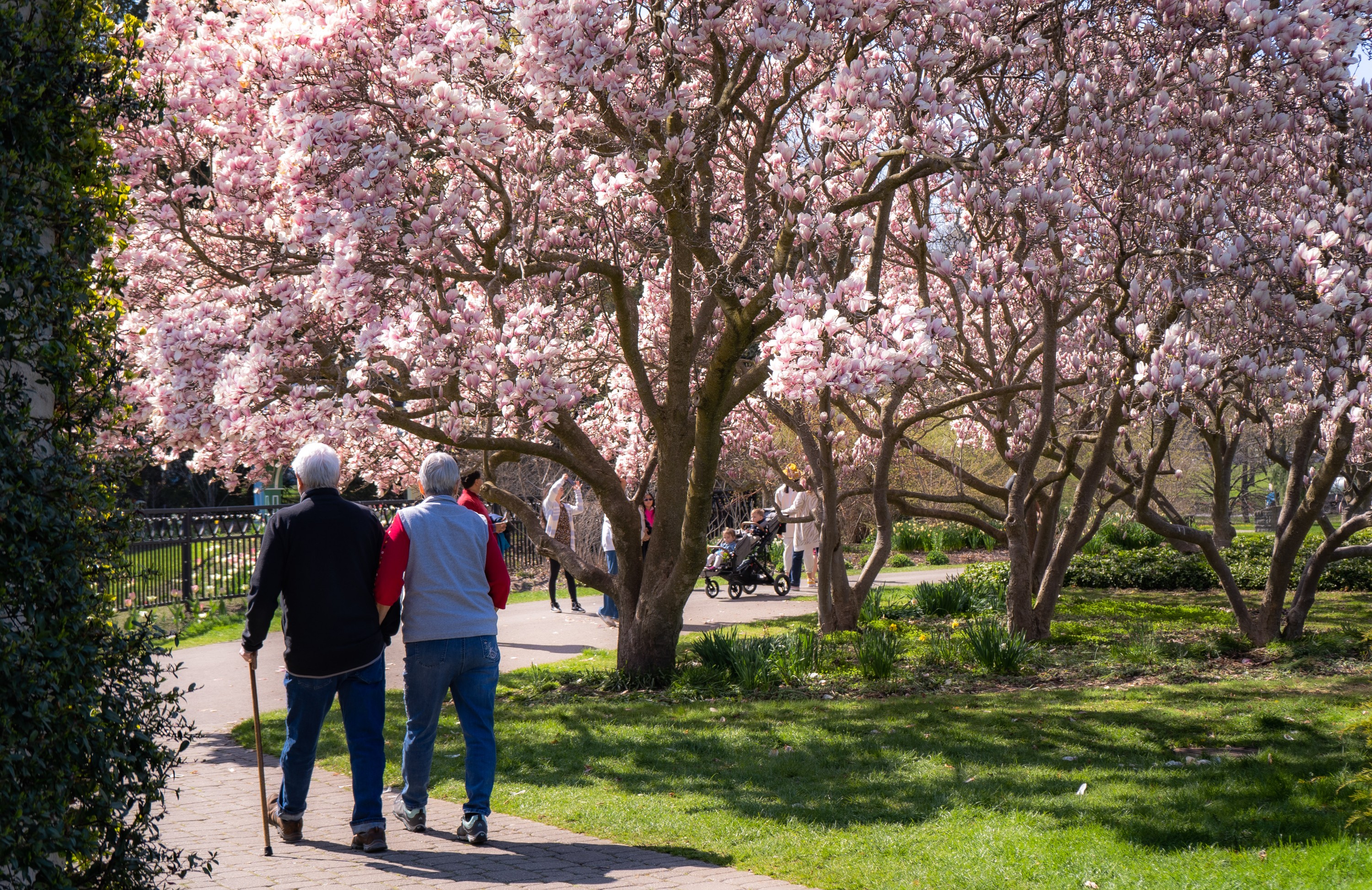 Spring in Niagara Falls | Niagara Falls Tourism