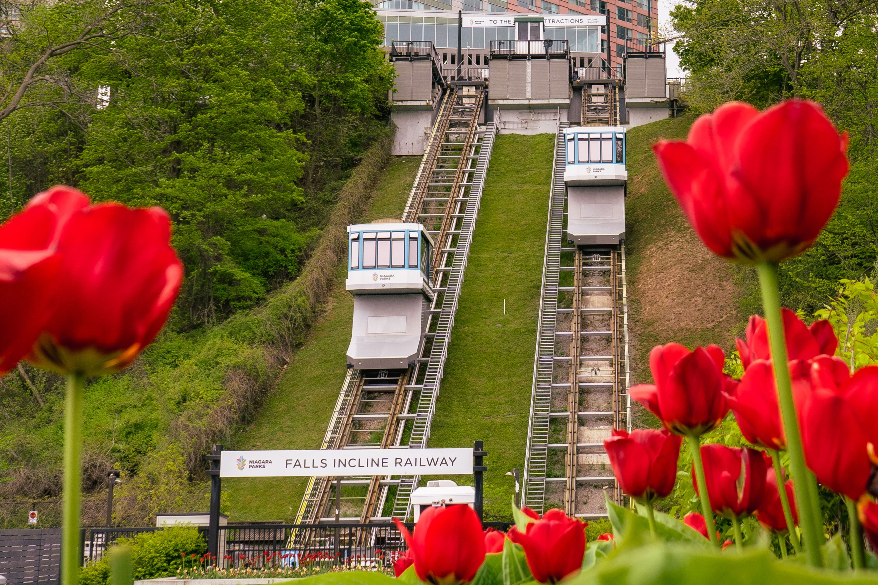 Spring in Niagara Falls | Niagara Falls Tourism