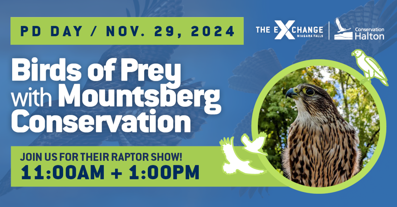 PD Day: Birds of Prey with Mountsberg Conservation | Niagara Falls Tourism