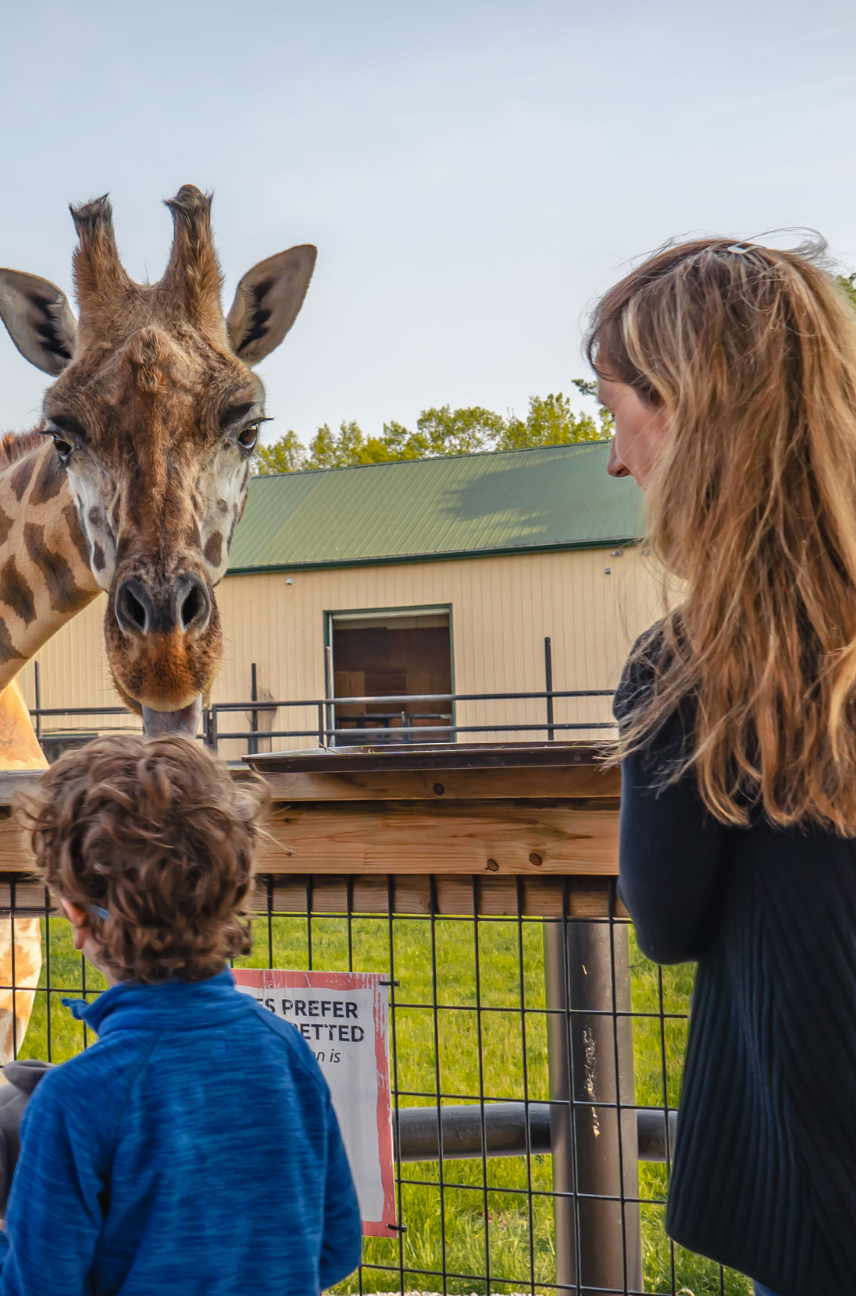 Exploring Wildlife Adventures in Niagara Falls | Niagara Falls Tourism
