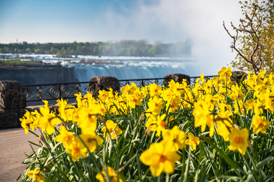 Seasons in Niagara | Niagara Falls Tourism