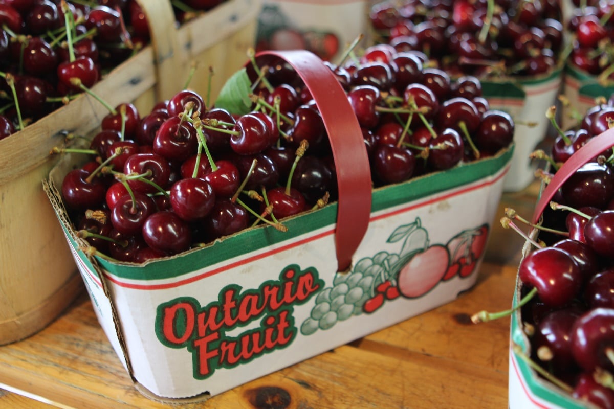 Not Your Grandparents Niagara | Niagara Falls Tourism