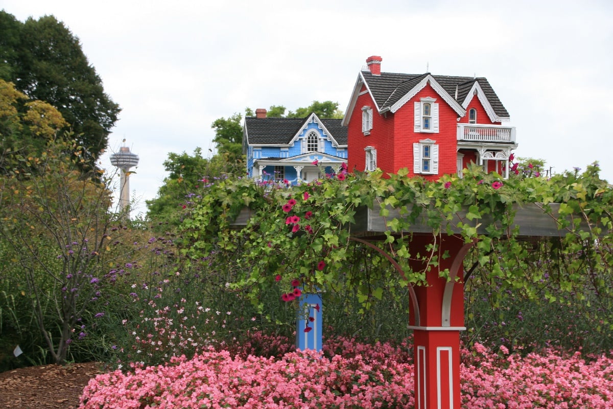 The Weather Network is Heading to Niagara Falls | Niagara Falls Tourism