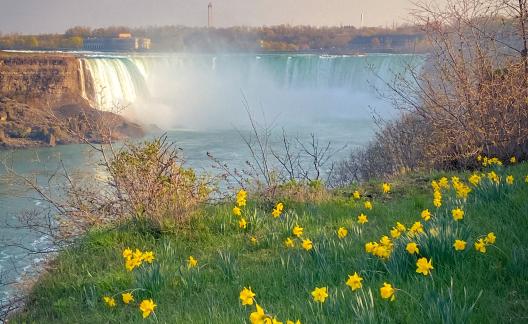 Spring in Niagara Falls | Niagara Falls Tourism
